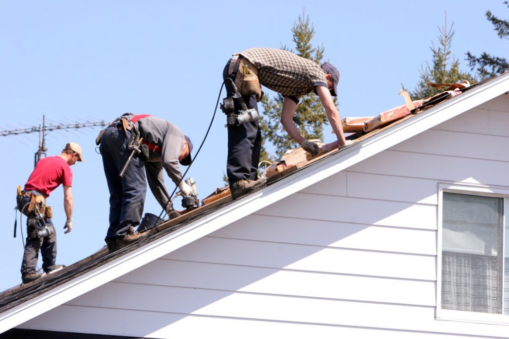 Prevent the Buckling of Asphalt Shingles: Tips from the APA | West Fraser - Integrated Forestry ...